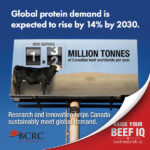 Nutritional Qualities of Beef - BeefResearch.ca