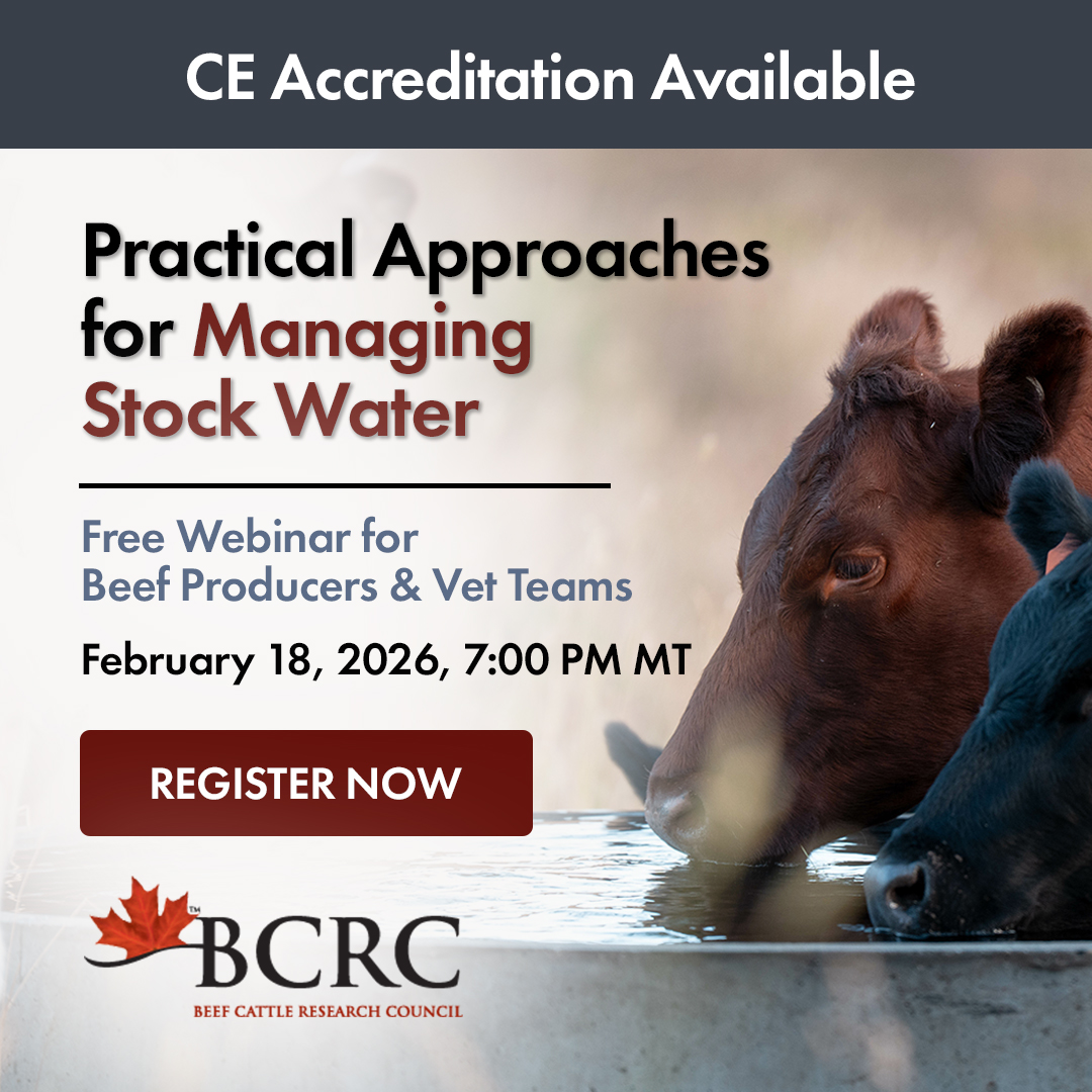Practical Approaches for Managing Stock Water - Beef Research