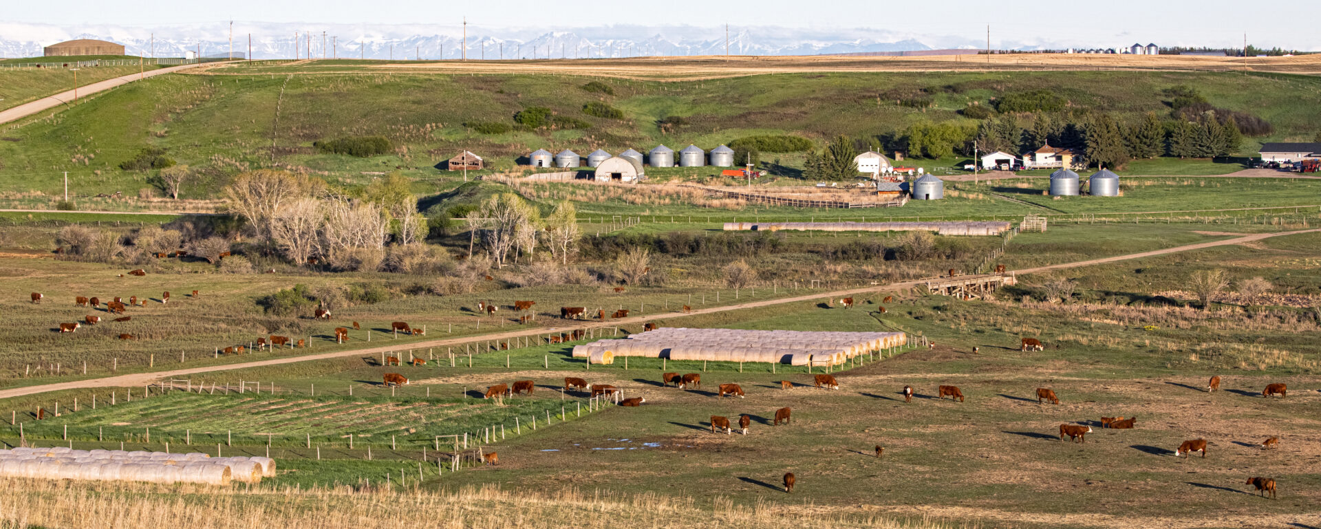 Make Every Acre Count with the BCRC's New Gross Margins Calculator ...