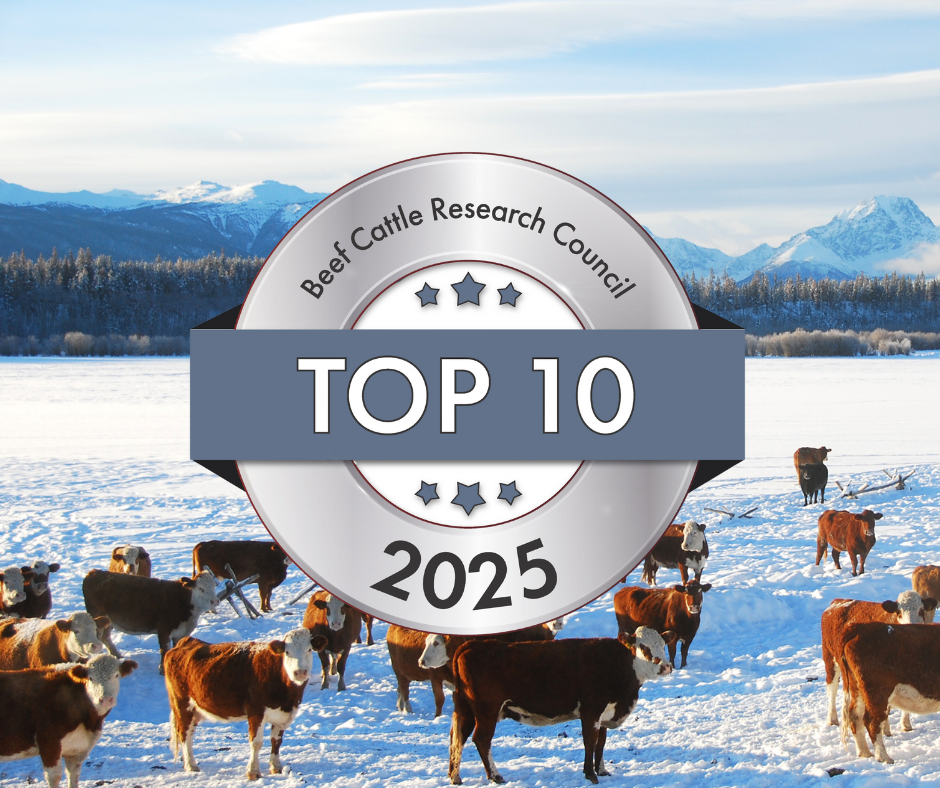 Top 10 BCRC Resources for Beef Cattle Producers in 2025 - BeefResearch.ca